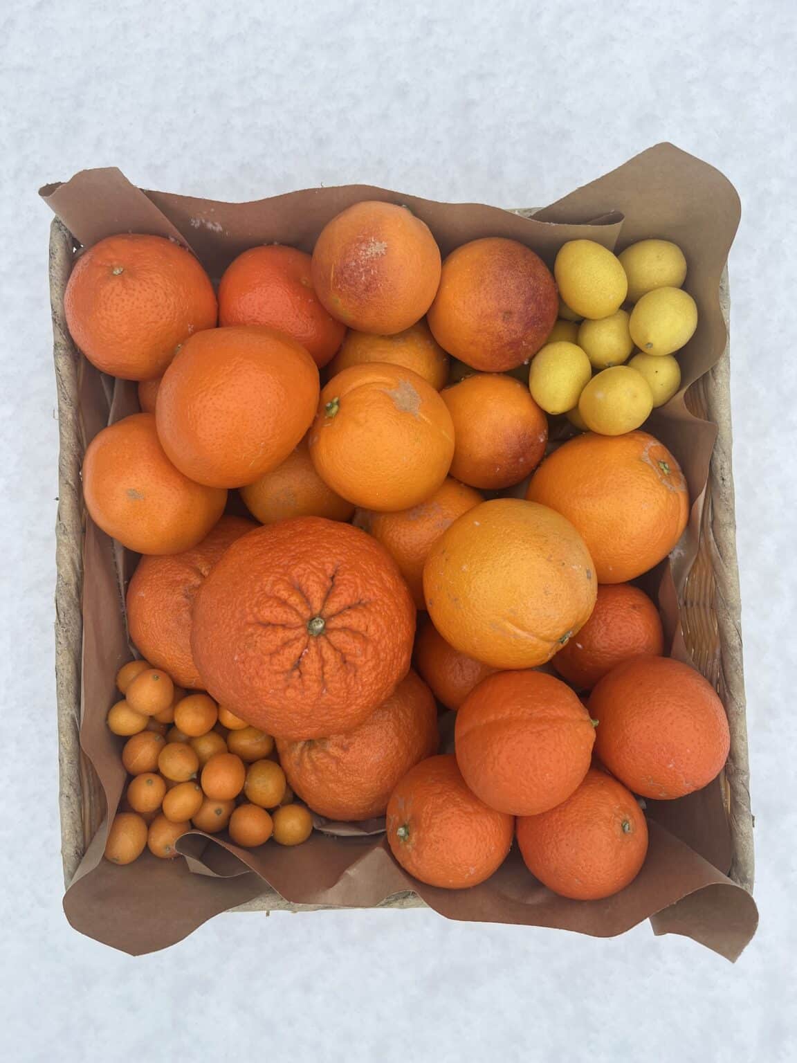 Citrus Season || Liberty Heights Fresh