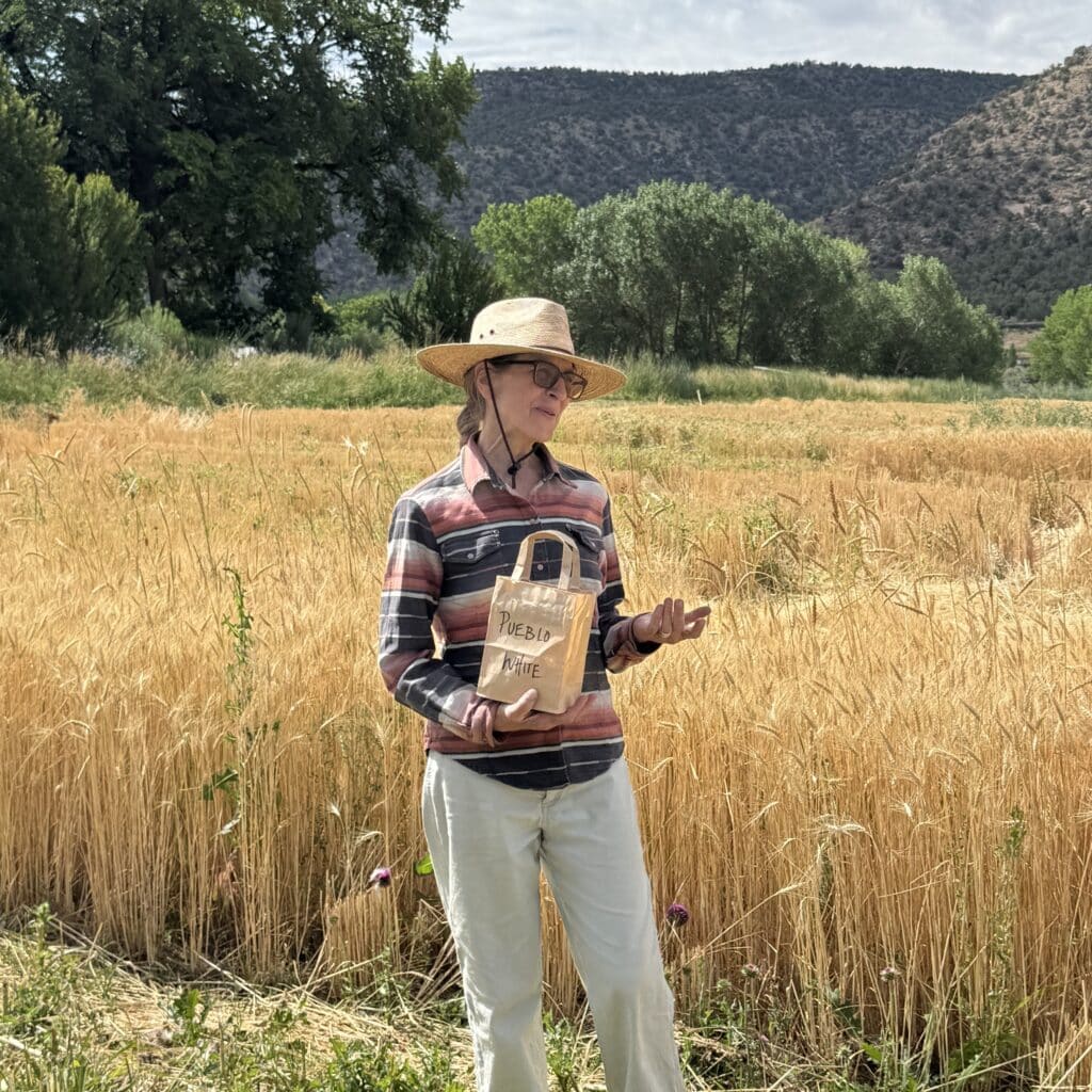 The Story Of Pueblo Seed & Food Co. || Liberty Heights Fresh